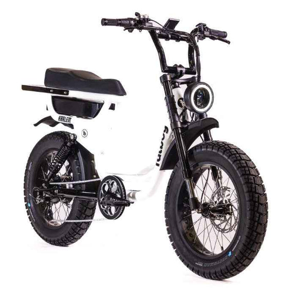 The Harlem Fatboy Electric Bike – Canopies WA